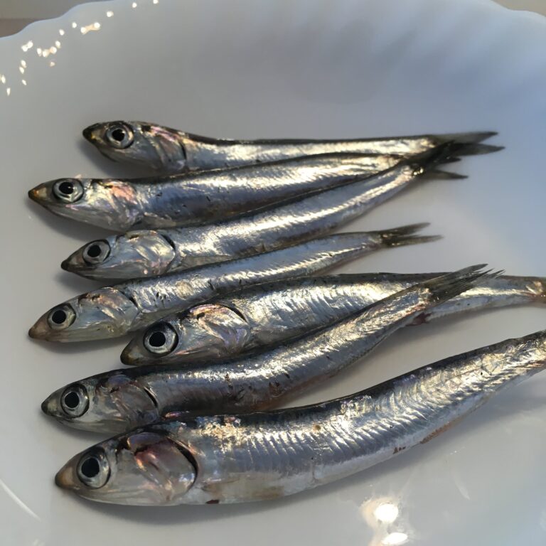 スプーンで小いわしを捌いて刺身を作ってみた！